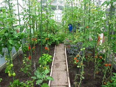 Een kas - gebruik - Diana's mooie moestuin