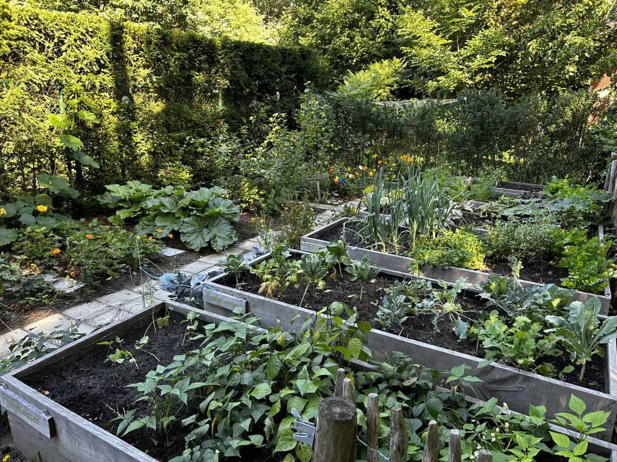 Gastblog Annelies - Diana's mooie moestuin