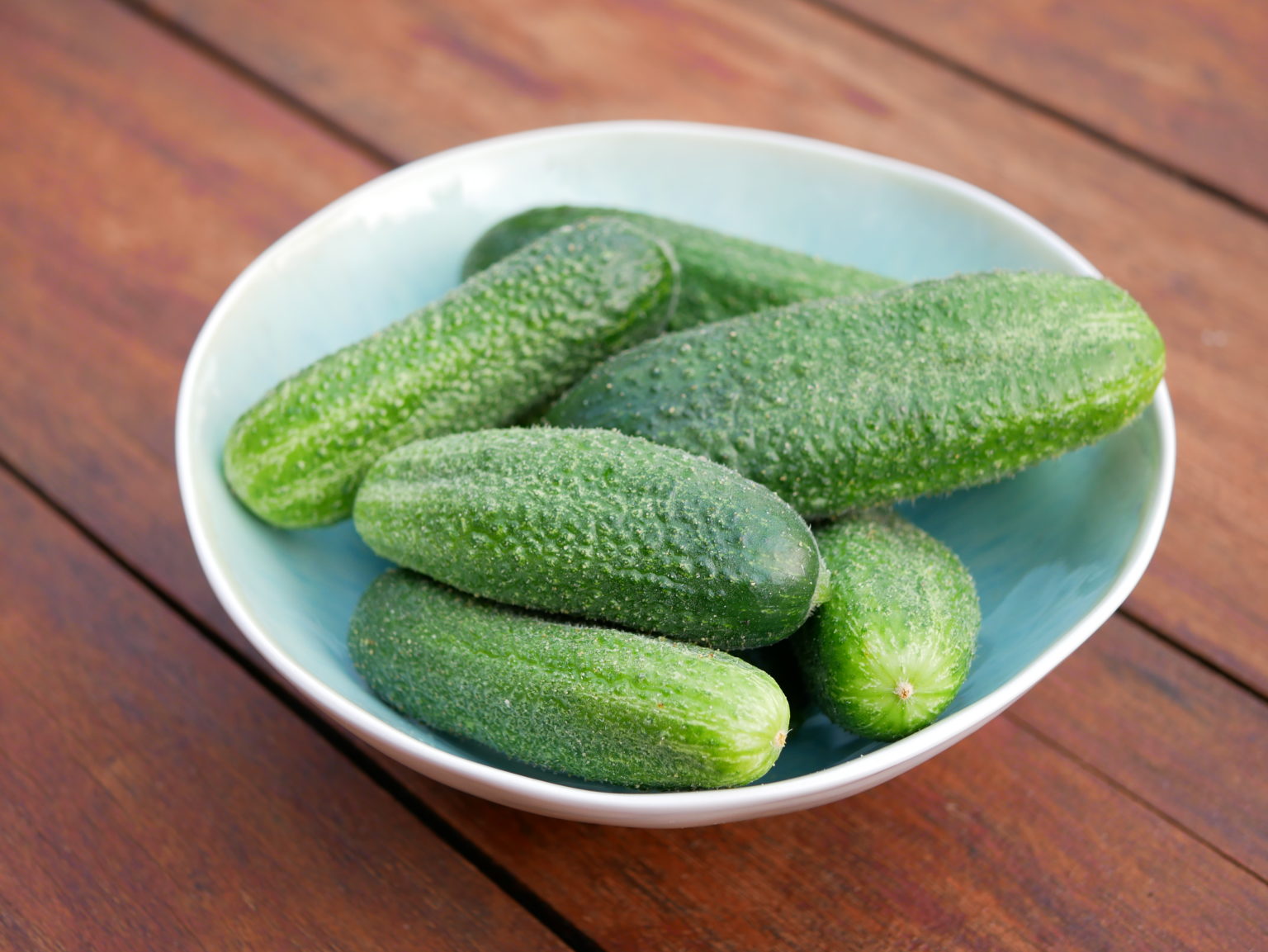 Augurk - Diana's mooie moestuin