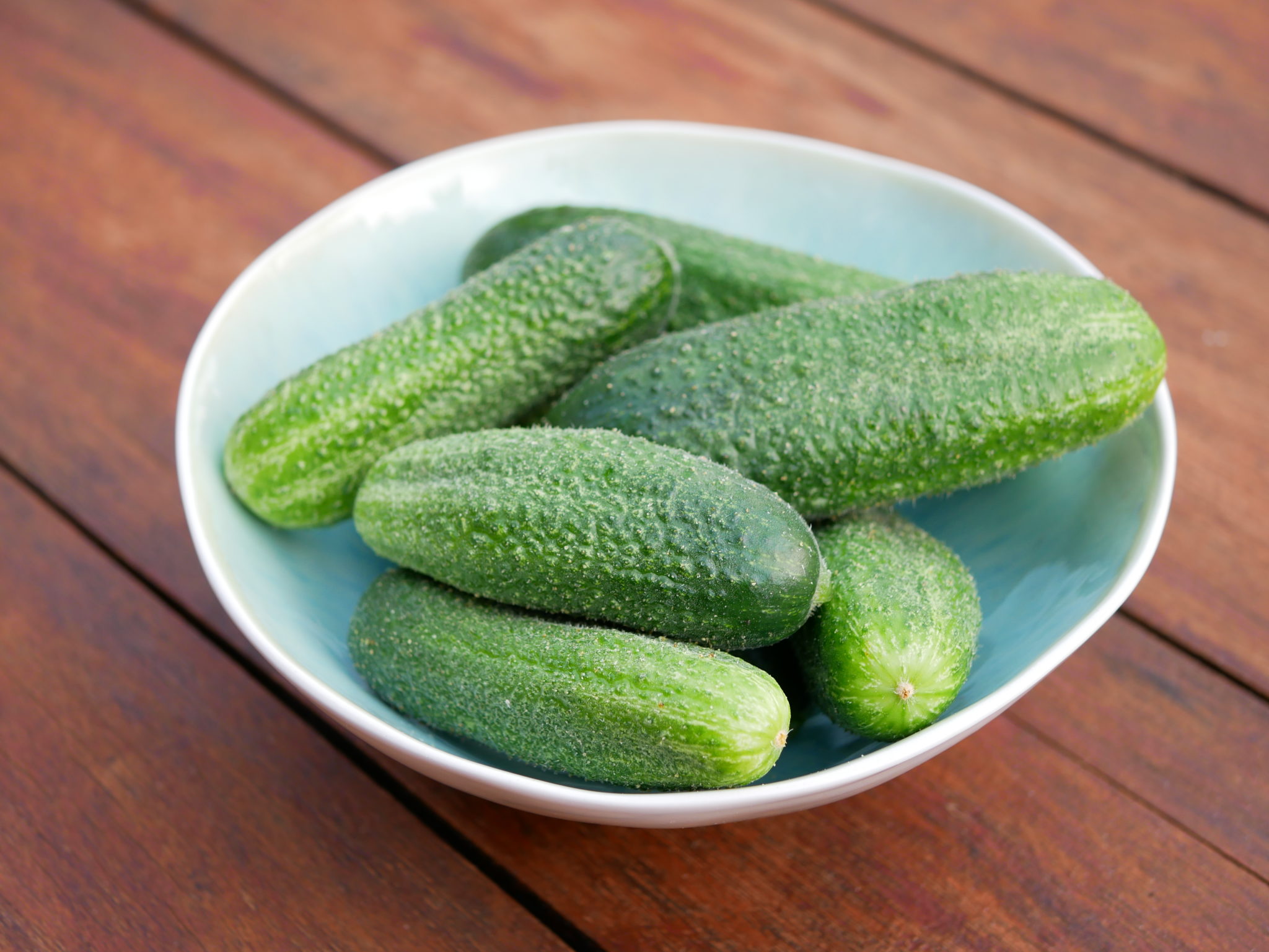 Augurk - Diana's mooie moestuin