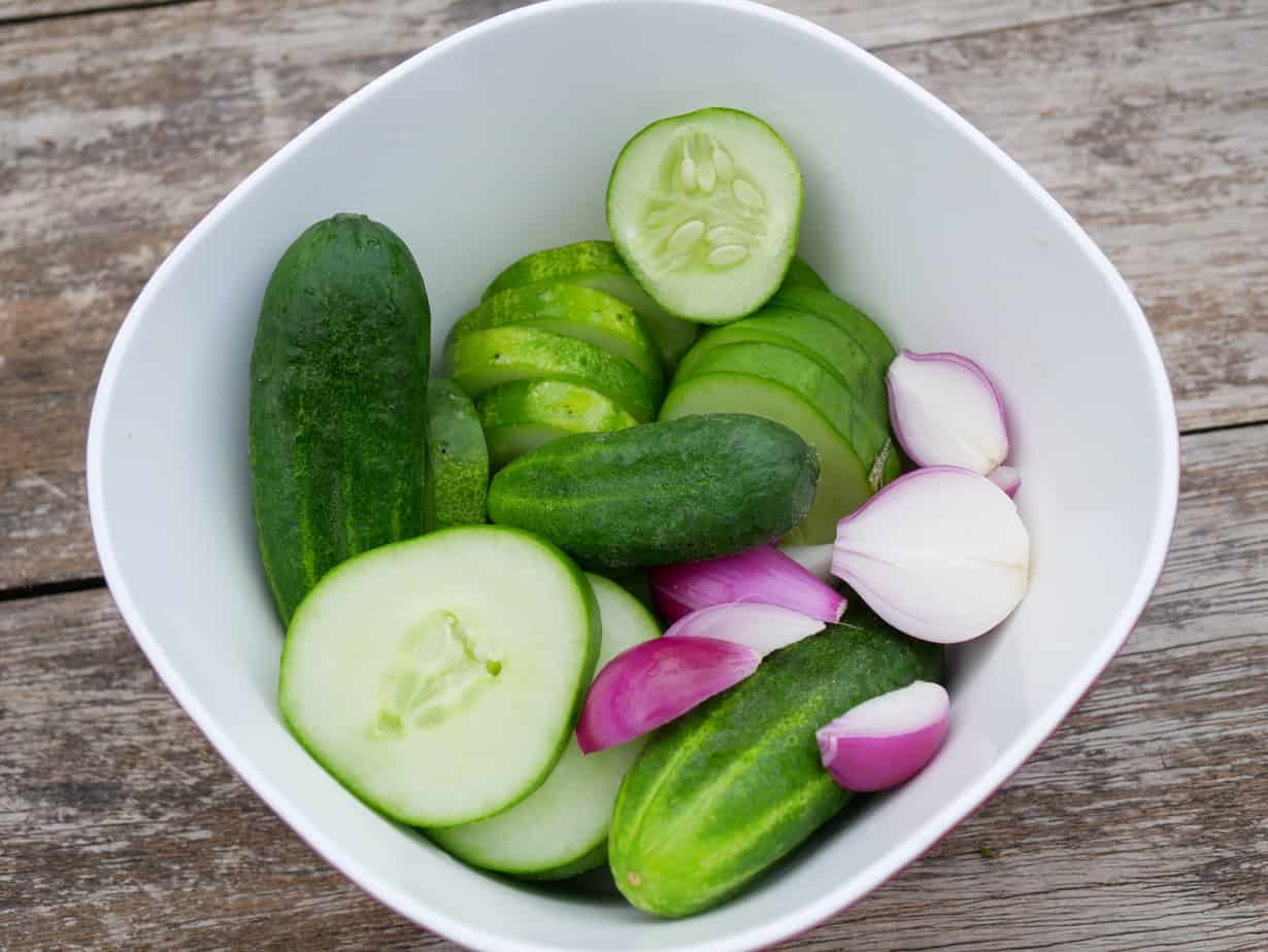 Augurk - Diana's mooie moestuin