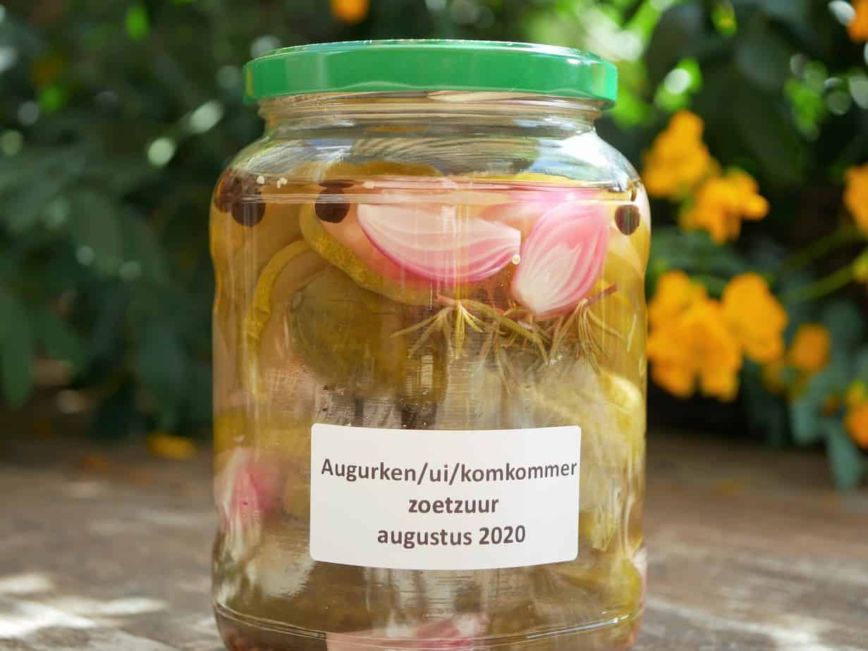 Augurk - Diana's mooie moestuin