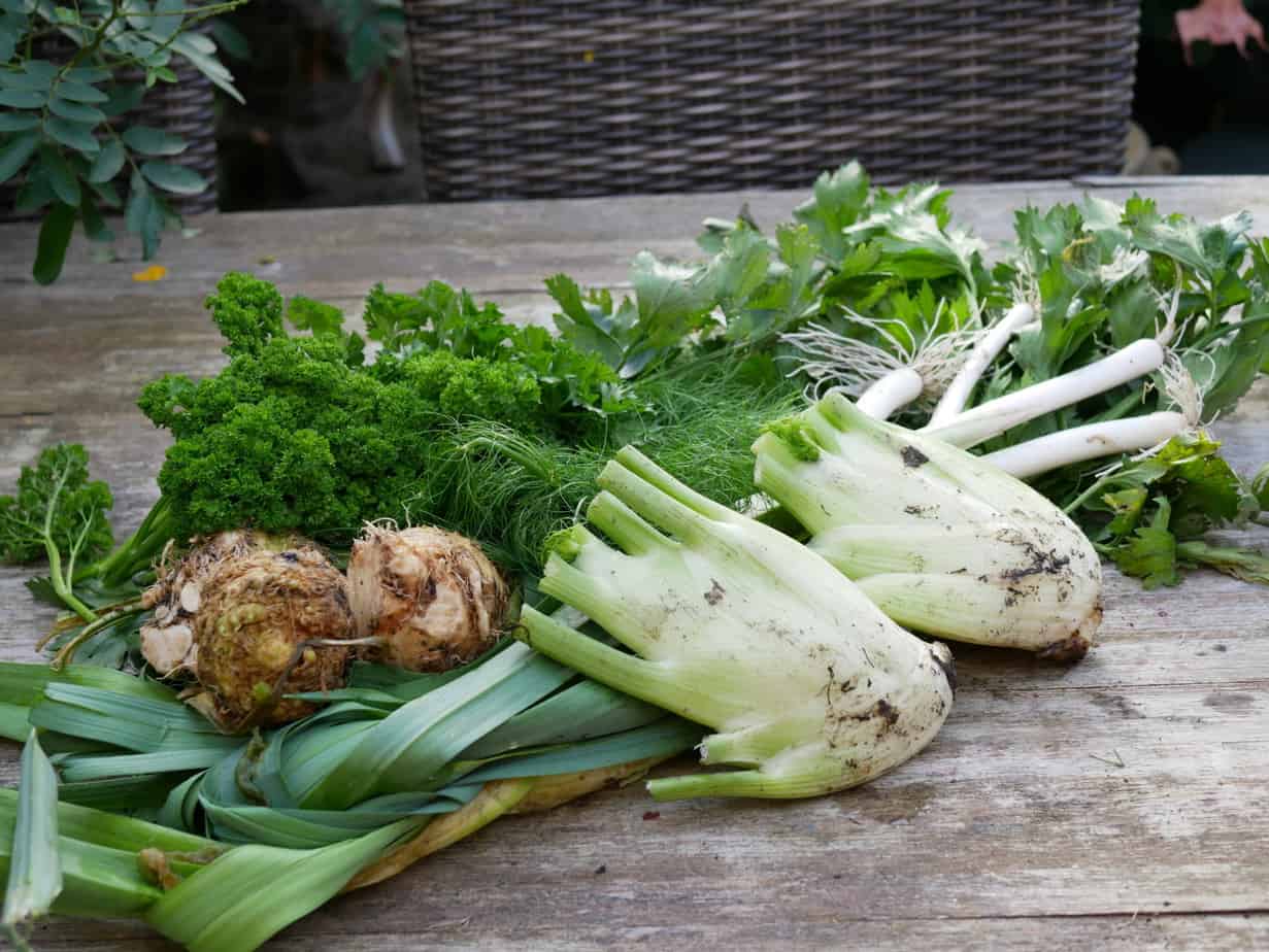 Peterselie - Diana's mooie moestuin