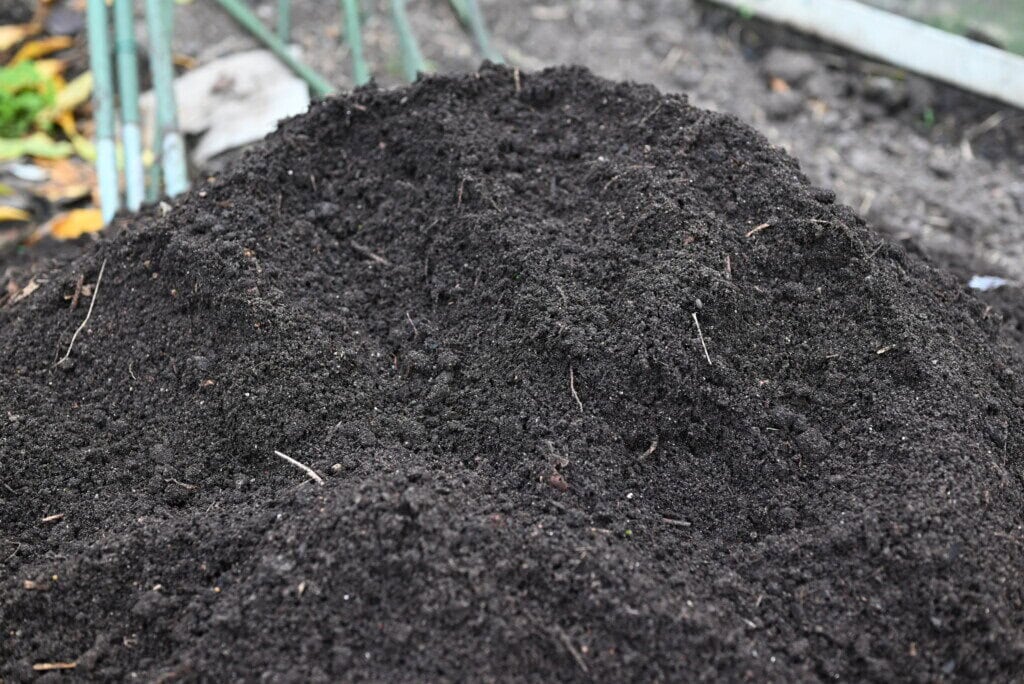 Zwaar - Diana's mooie moestuin
