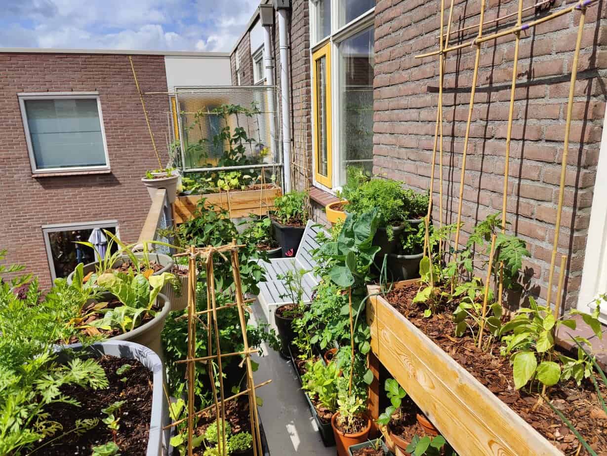 Gastblog Cheyenne - Diana's mooie moestuin