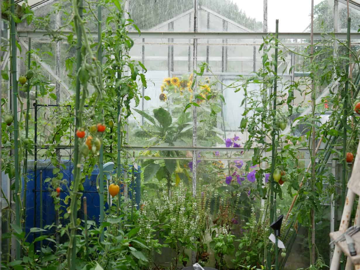 Kas - Diana's mooie moestuin