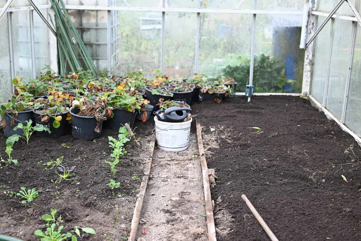 Zwaar - Diana's mooie moestuin