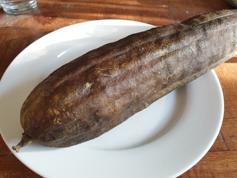 Luffa - Diana's mooie moestuin