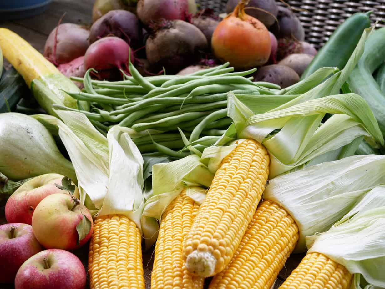 Mais - Diana's mooie moestuin