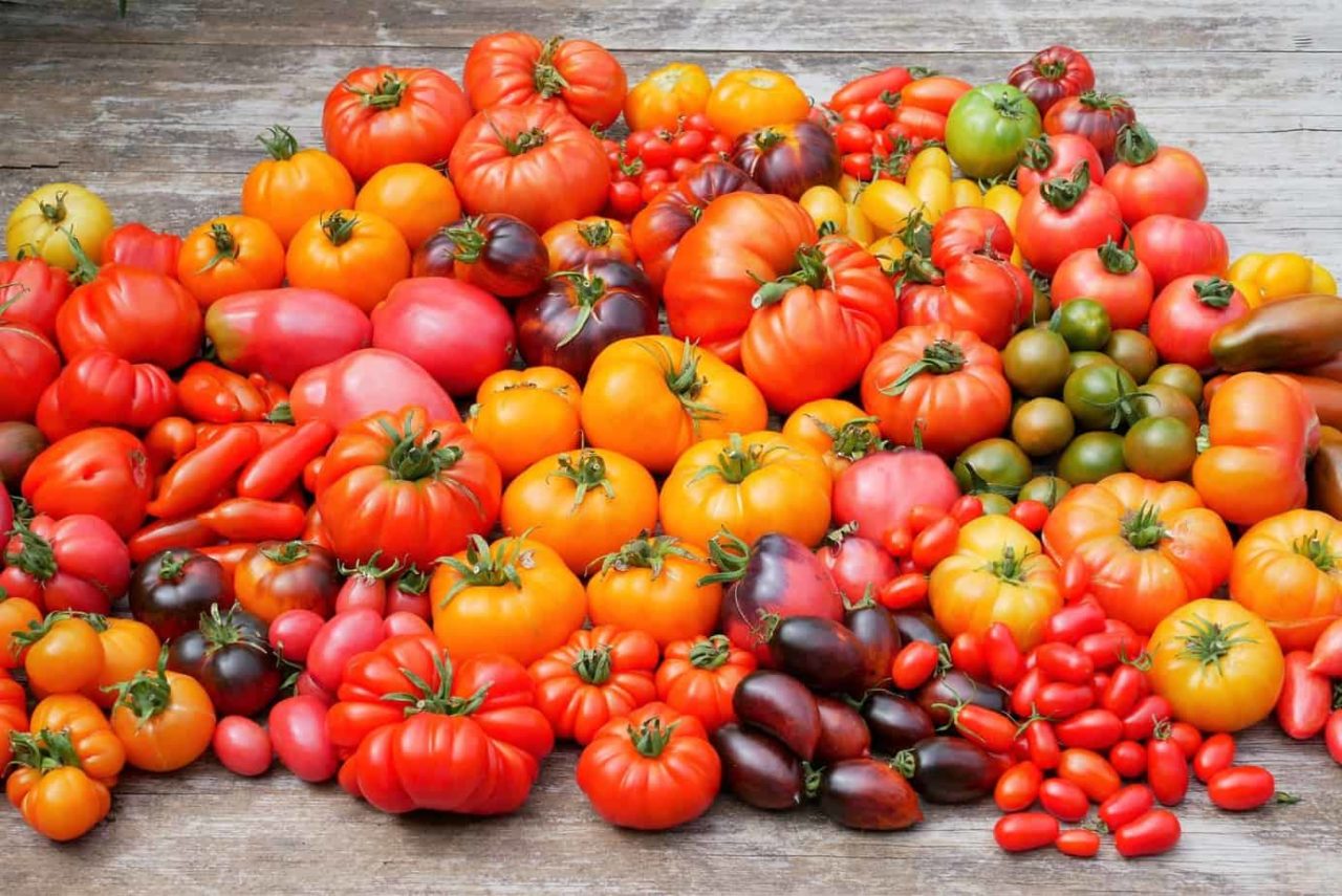 Tomaten....... en zo - Diana's mooie moestuin