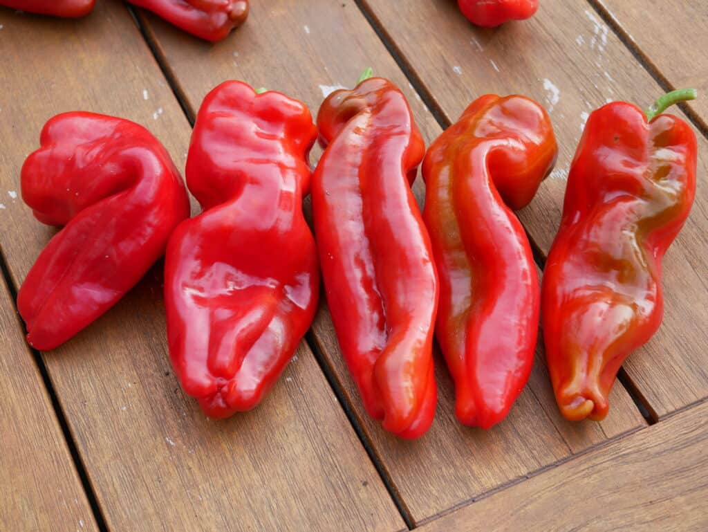 Paprika's - Diana's mooie moestuin