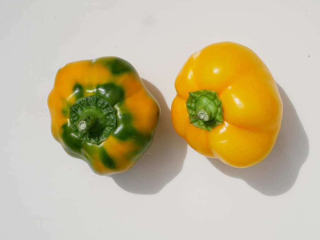 Paprika's - Diana's mooie moestuin