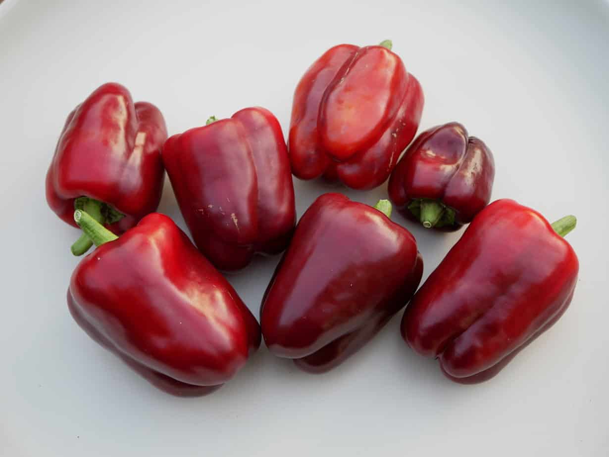 Paprika's - Diana's mooie moestuin