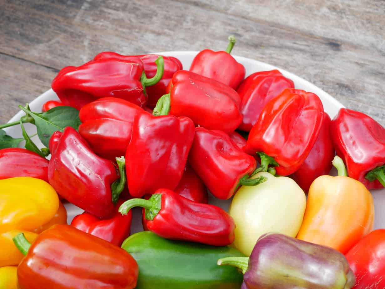 Popti - Diana's mooie moestuin