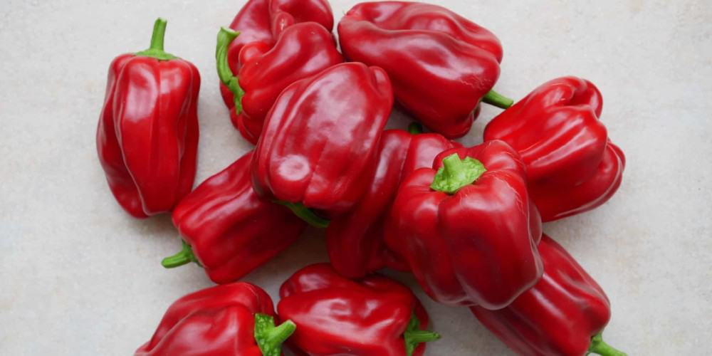 Popti - Diana's mooie moestuin