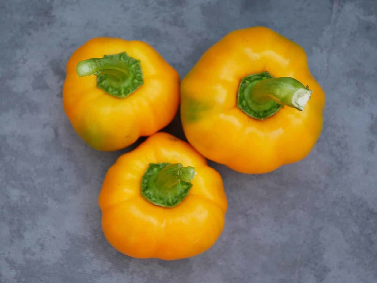 Paprika's - Diana's mooie moestuin