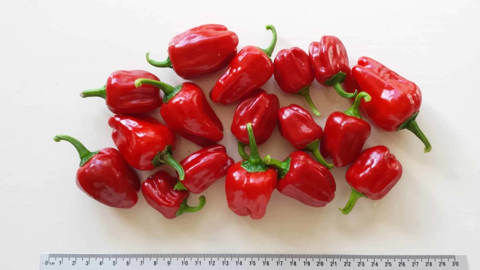 Pepers - Diana's mooie moestuin