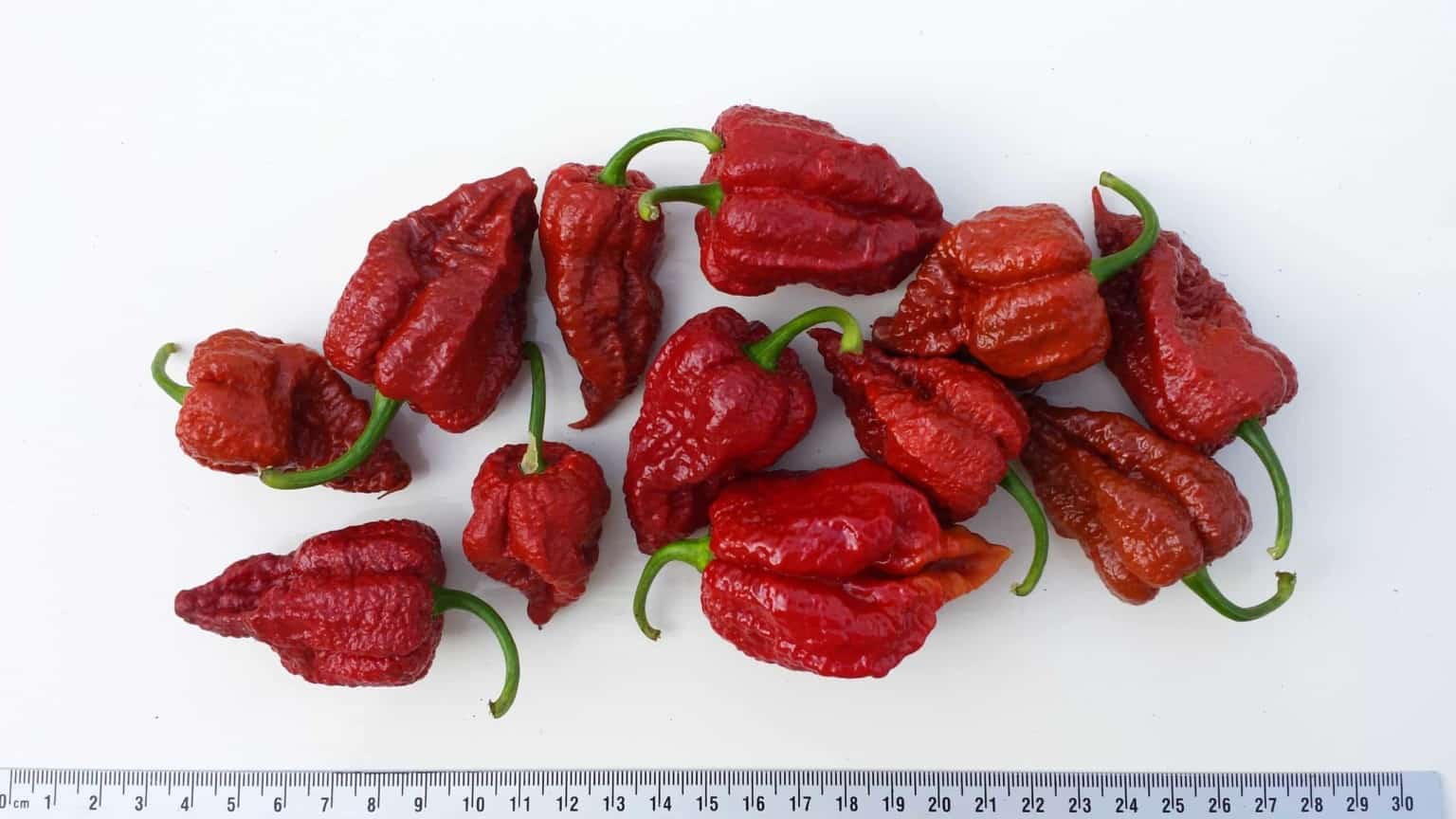 Peper - Diana's mooie moestuin