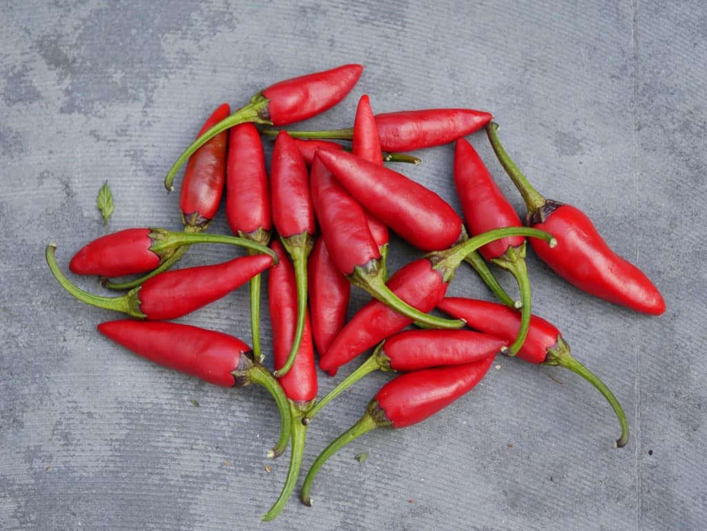 Pepers - Diana's mooie moestuin