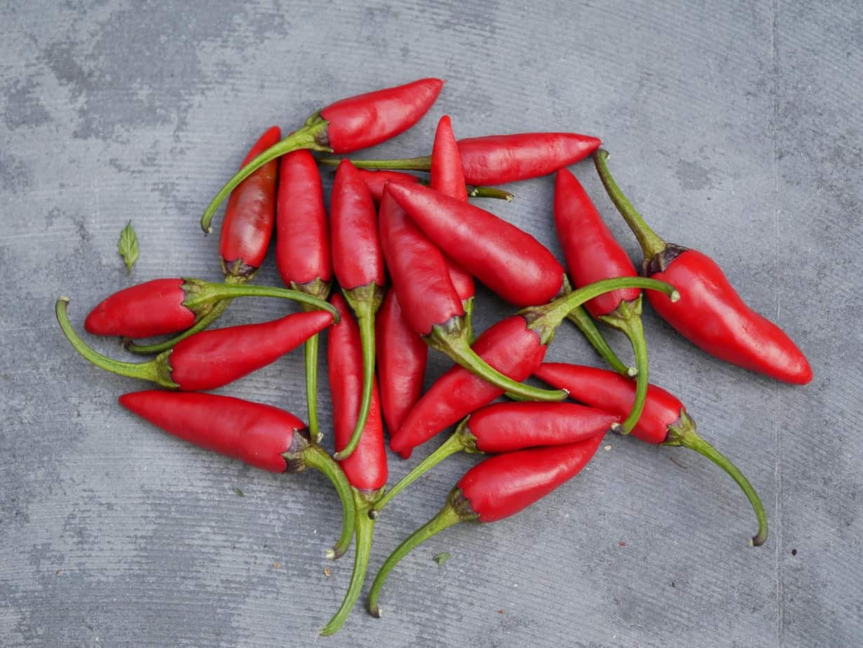 Pepers - Diana's mooie moestuin