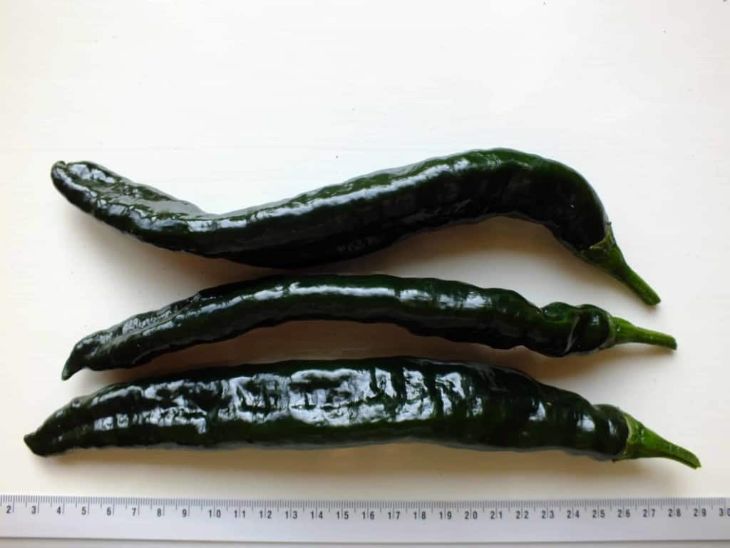 Pepers - Diana's mooie moestuin