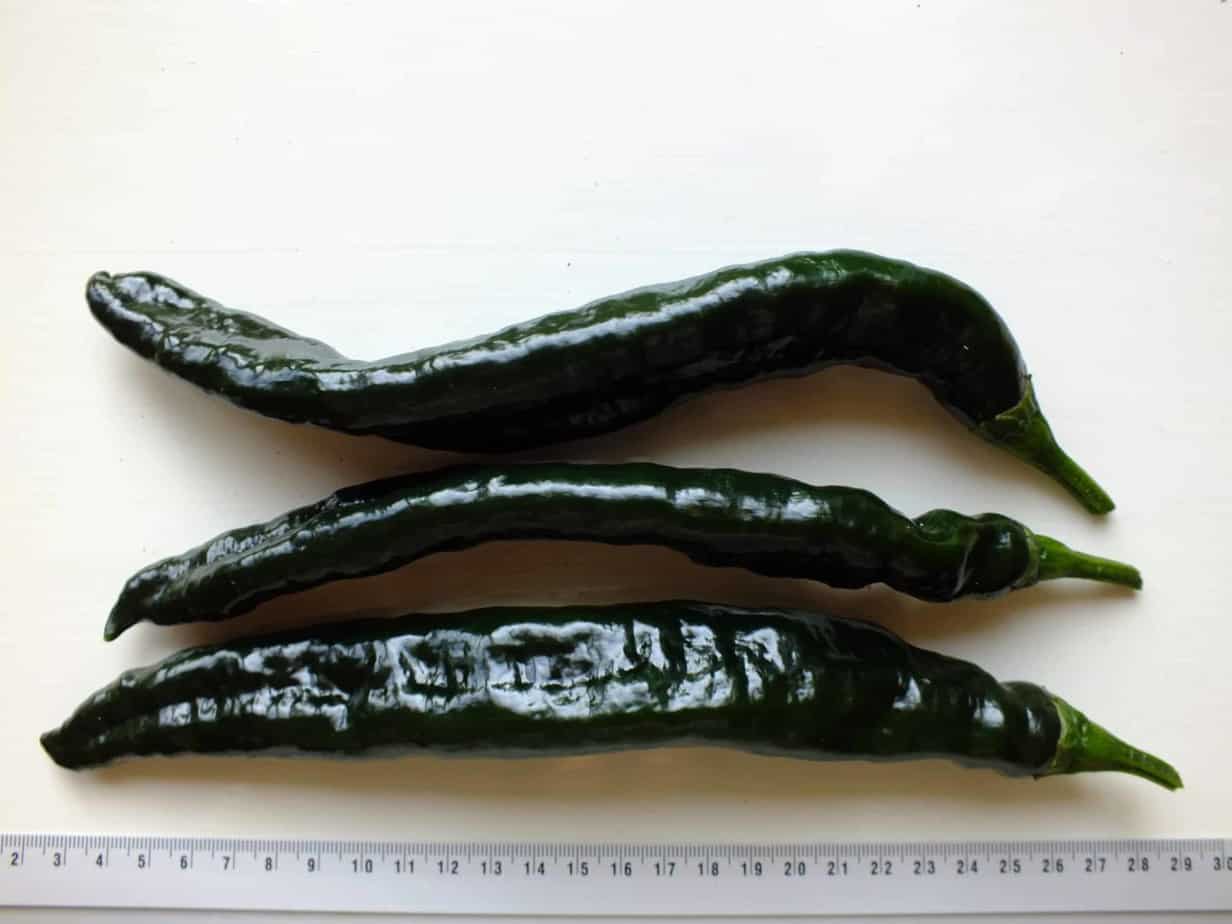 Pepers - Diana's mooie moestuin