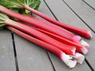 Rabarber - Diana's mooie moestuin