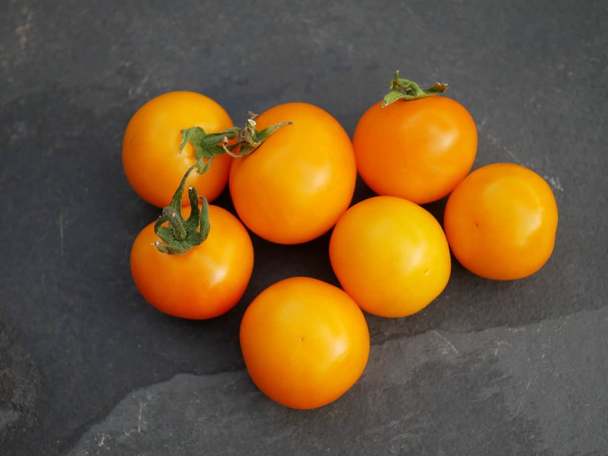 Tomaten - Diana's mooie moestuin