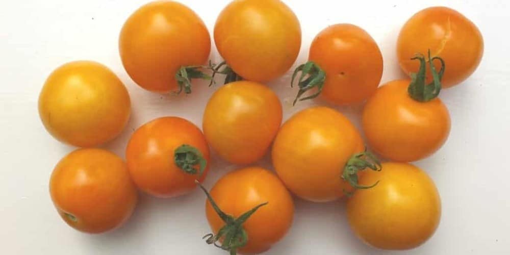 Amber Coloured - Diana's mooie moestuin