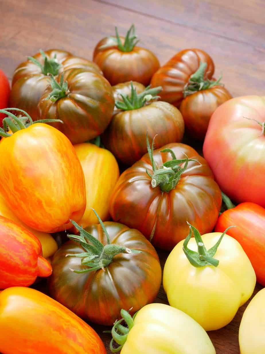 Black & Red Boar - Diana's mooie moestuin