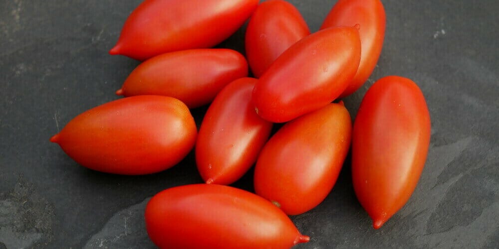 Niagara - Diana's mooie moestuin