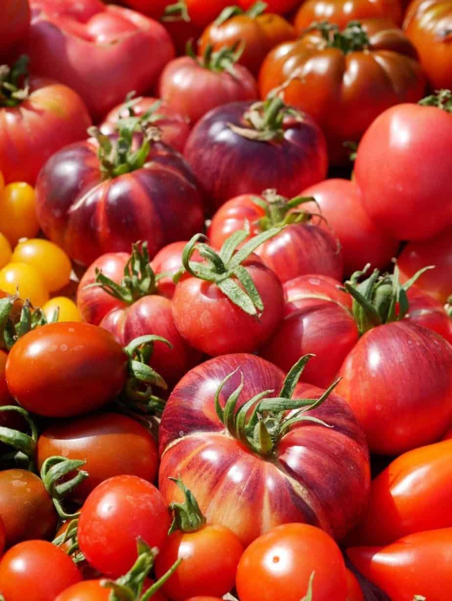 De lekkerste tomaat ter wereld - Diana's mooie moestuin