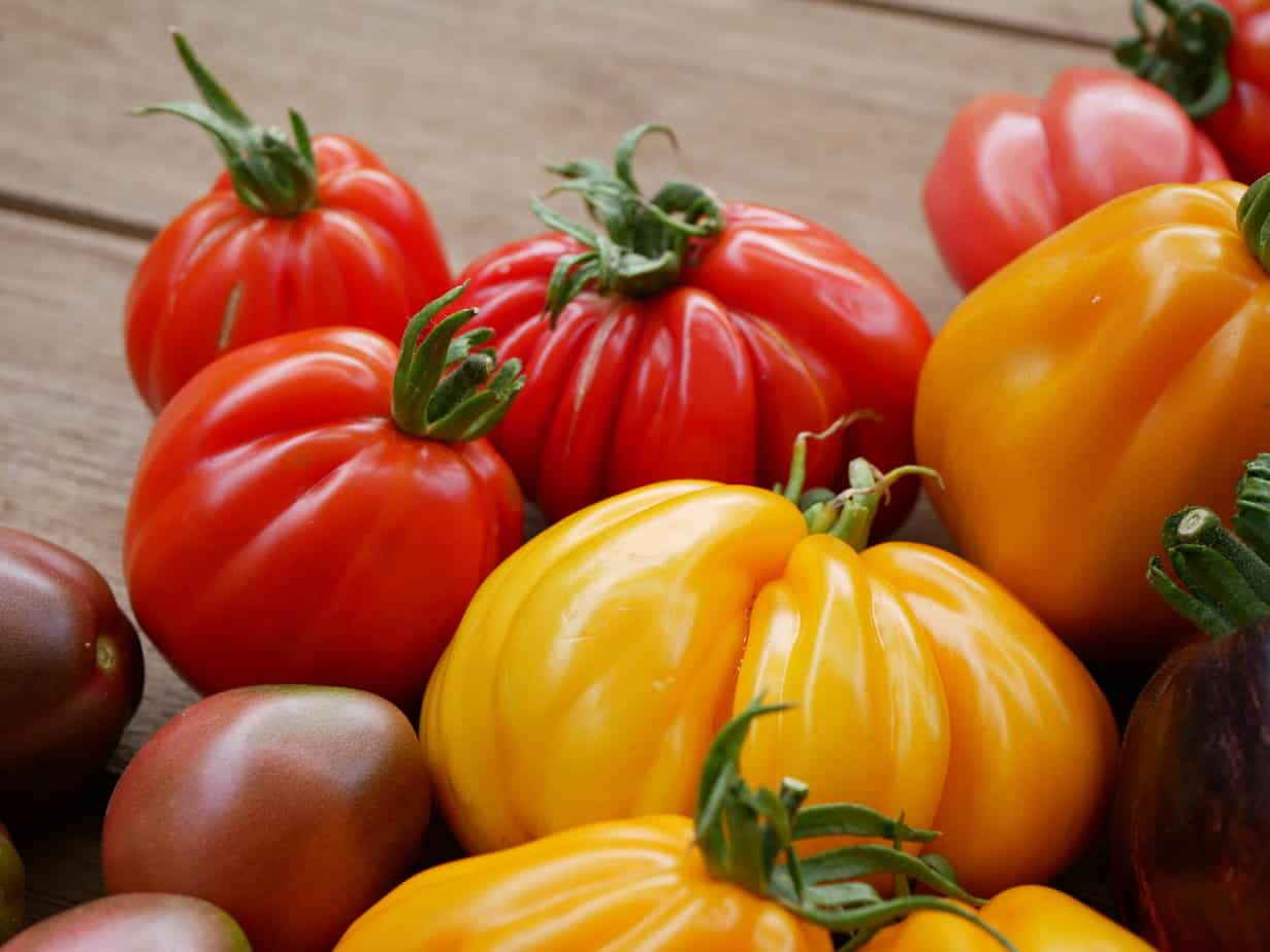 Red Fig - Diana's mooie moestuin