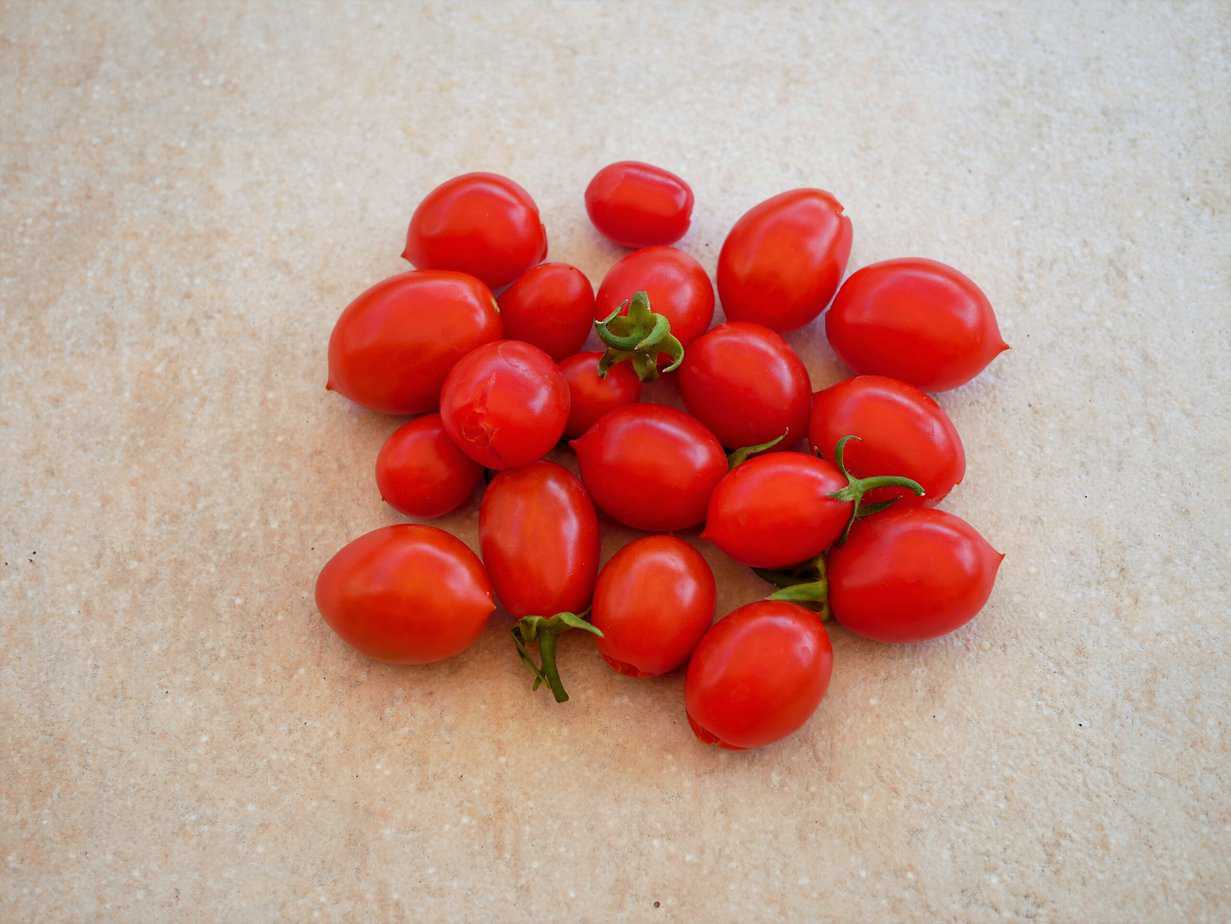 Reverend Michael Keyes - Diana's mooie moestuin