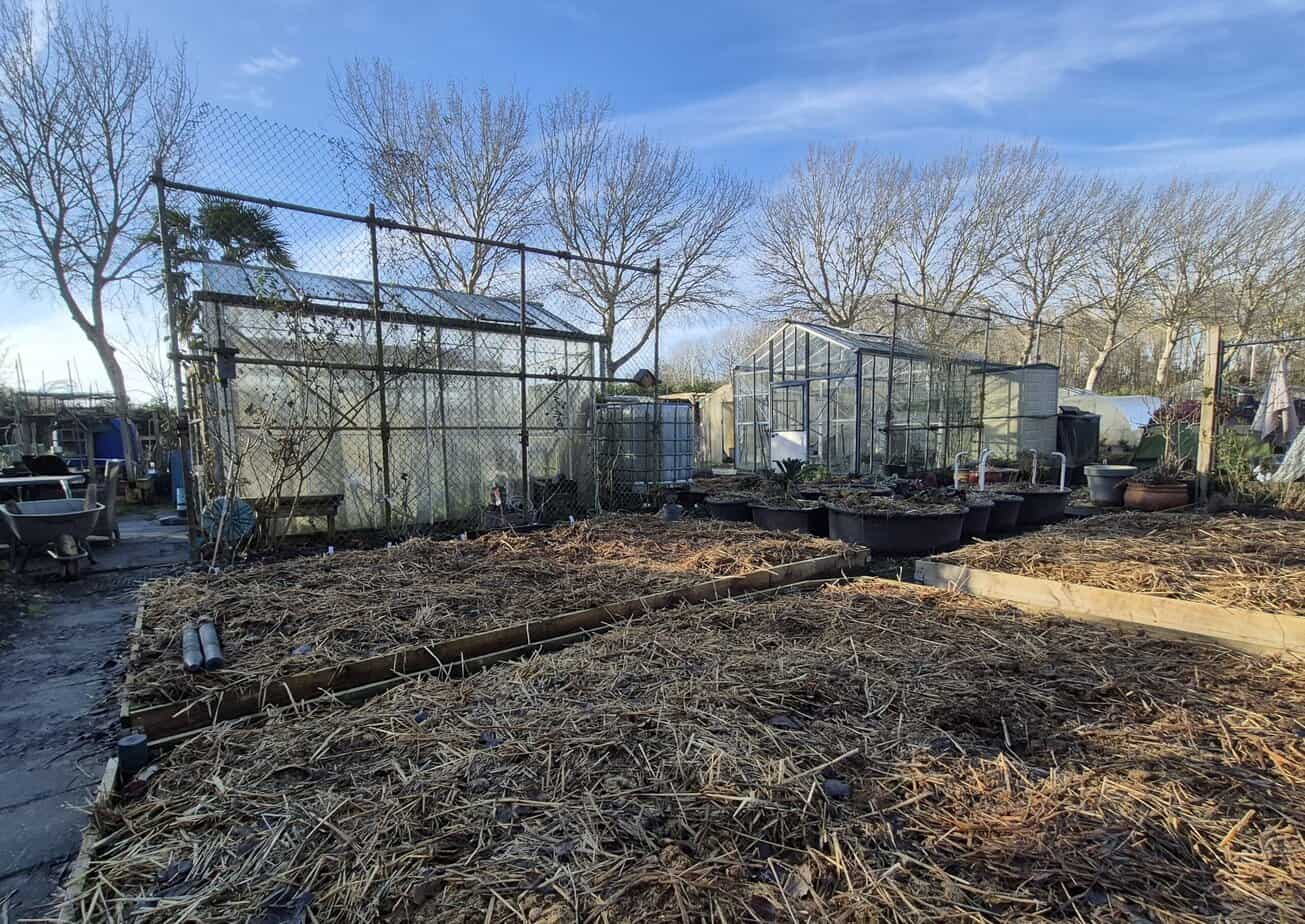 Een planning voor 2026 - Diana's mooie moestuin