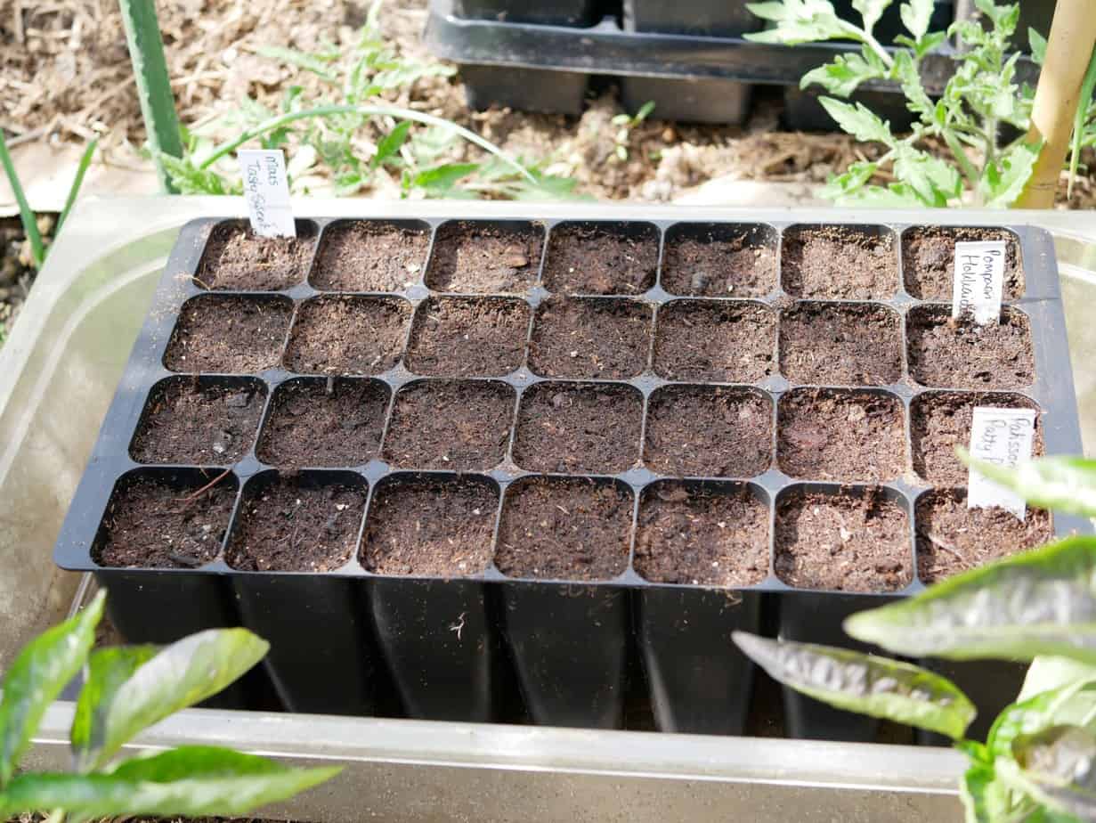 Eindelijk een goede zaaitray - Diana's mooie moestuin